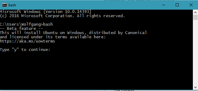 Wolfgang Ziegler - Bash on Windows does not start